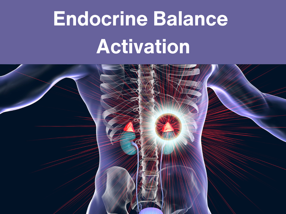 Endocrine Balance Activation - Energy Healing Master